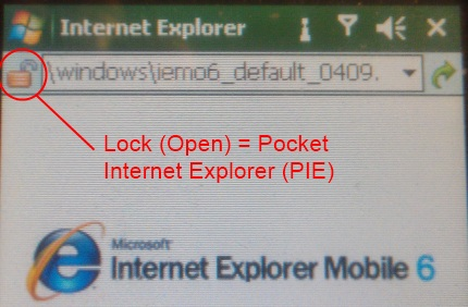 What version of Internet Explorer (IE) is running on the device?