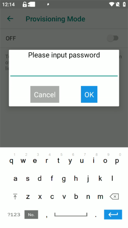 Provision mode password
