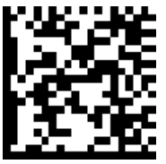 How can I print a datamatrix code with C # Intermec PM23c